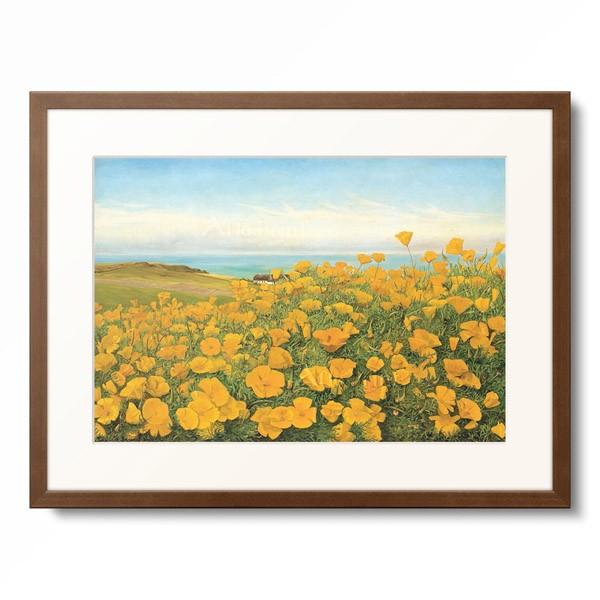 Artist: Frimodt, Johanne Nicoline Louise,1861-1920 Imagetitle: A Field of Buttercups by the Coast. 1902 Dimensions: 84,4...