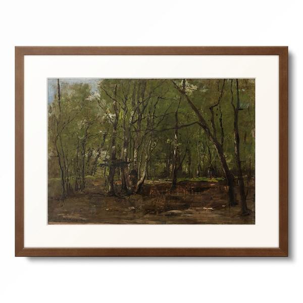 所蔵：クンストパラスト美術館Artist: Munkacsy, Mihaly,1844-1900 Imagetitle: Wooded landscape (study for the peacocks). Around 1877 Dime...