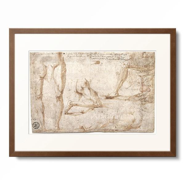 所蔵：クンストパラスト美術館Artist: Buonaccorsi, Piero,1501-1547,called Perino del Vaga Imagetitle: Studies of human legs. Dimensions:...