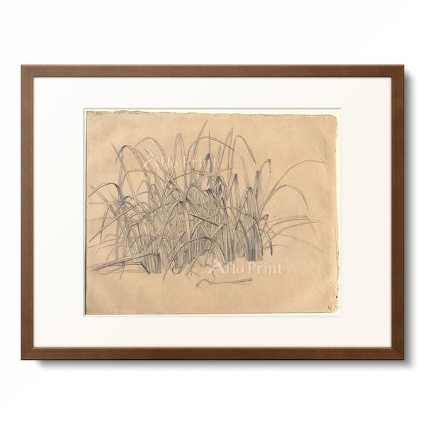 所蔵：クンストパラスト美術館Artist: Preyer, Johann Wilhelm,1803-1889 Imagetitle: Study of reed grass. Around 1830/32 Dimensions: 16,1 ...
