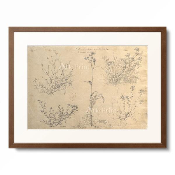 所蔵：クンストパラスト美術館Artist: Preyer, Johann Wilhelm,1803-1889 Imagetitle: Study of flowers and herbs - recto. 1833 Dimensions: ...