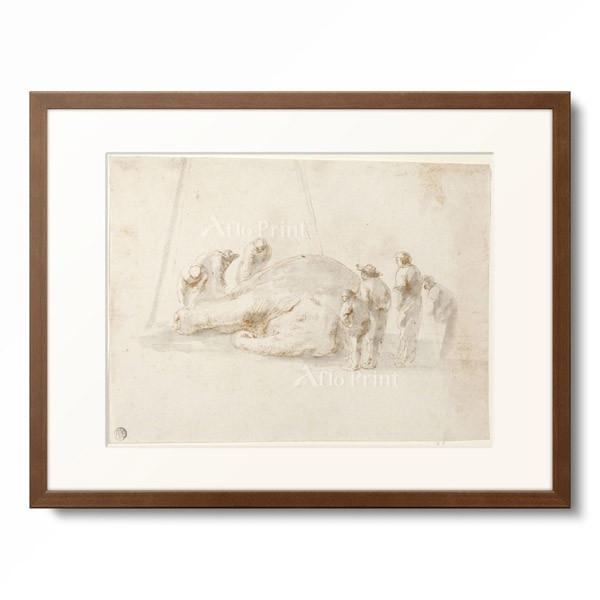 Artist: Bella, Stefano della,1610-1664 Imagetitle: Two Drawings of a Dead Elephant. 1655. (second drawing under image no...