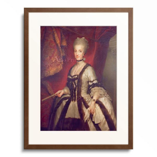 ハプスブルク＝ロートリンゲン家の系譜フランツ1世とマリア・テレジアの子ども Maria Carolina, Queen (Ferdinand I)/of Naples Sicily, daughter of Emperor Franz I ...