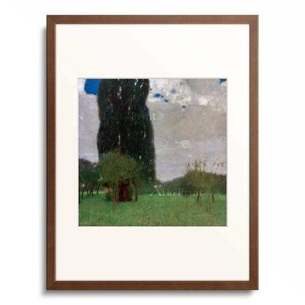 作家名：グスタフ・クリムト ( 1862年 - 1918年 )国籍：オーストリアジャンル　： 象徴主義　ウィーン分離派　アール・ヌーヴォー Klimt, Gustav. 1862-1918."Die grosse Pappel I" (Th...