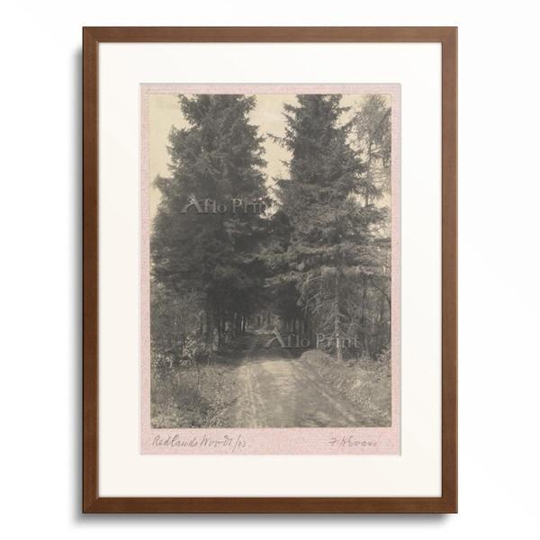Evans, Frederick Henry 1853-1943.Redlands Woods, Photograph, 1893.Platinum print, 25.3 × 17 cm.Inv. Nr. 2013.159.8New Yo...