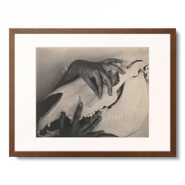 Stieglitz, Alfred 1864-1946.Georgia O'Keeffe-Hands and Horse Skull, Photograph, 1931.Gelatin silver print.Inv. Nr. 1997....
