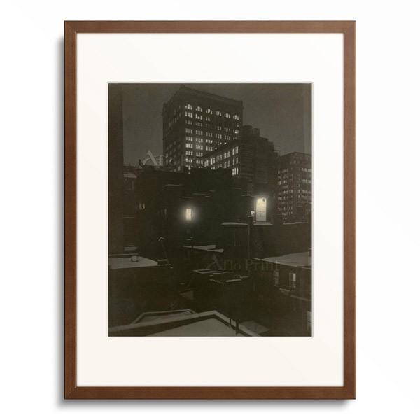 Stieglitz, Alfred 1864-1946.From the Back Window - 291, Photograph, 1915.Platinum print.Inv. Nr. 49.55.35New York, Metro...
