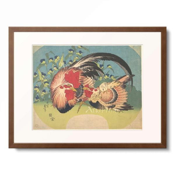 Katsushika Hokusai 1760-1849.Rooster, Hen and Chicken with Spiderwort, Print, ca. 1830-1833.Edo period (1615-1868).Polyc...