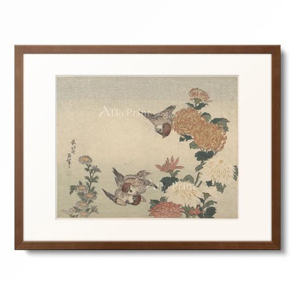 Katsushika Hokusai 1760-1849.Sparrows and Chrysanthemums, Print, ca. 1815-1835.Edo period (1615-1868).Polychrome woodblo...