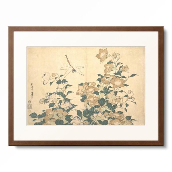 Katsushika Hokusai 1760-1849.Dragonfly and Bellflower, Woodblock print, ca. 1820-1830.Edo period (1615-1868).Polychrome ...