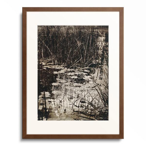 Atget, Eugene 1857-02-02-1927-08-04.Nenuphars, Photograph, ca. 1890-1929.Gelatin silver print.Inv. Nr. 56.610.2New York,...