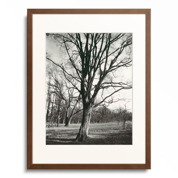 Atget, Eugene 1857-02-02-1927-08-04.Environs of Paris, Photograph, ca. 1920-1929.Gelatin silver print.Inv. Nr. 56.610.19...