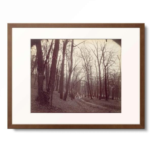 Atget, Eugene 1857-02-02-1927-08-04.St. Cloud near Paris, Photograph, 1923.Gelatin silver print.Inv. Nr. 1970.594.1New Y...