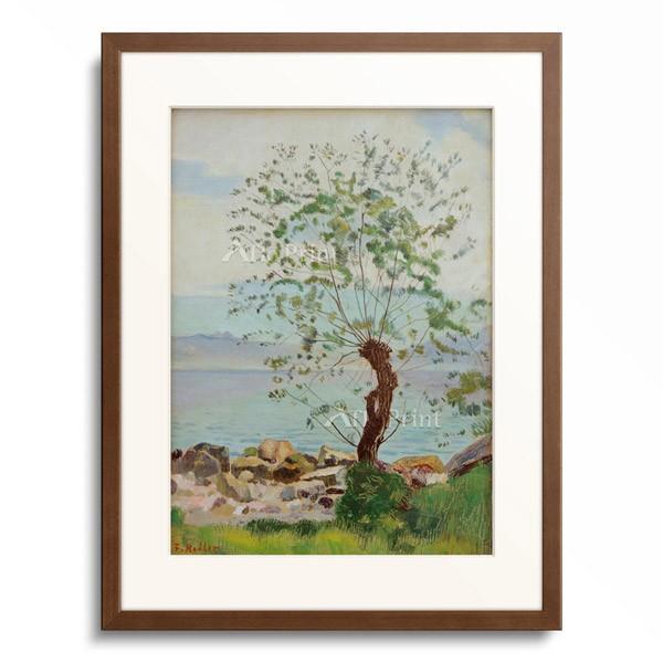 Hodler, Ferdinand 1853-1918."Weidenbaum am See"(Willow at the Lake), c. 1890.(On the shore of Lake Geneva).Oil on canvas...