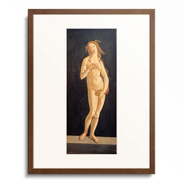 Botticelli, Sandro; born Alessandro Filipepi.1444/45-1510;workshop."Venus", c. 1482.Tempera on canvas, 174 × 77 cm.Inv. ...