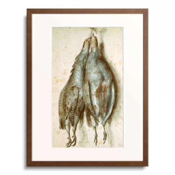 Cranach, Lucas the Elder 1472-1553."Two dead partridges".Watercolour.Dresden, Staatliches Kupferstichkabinett.