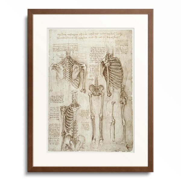 museum: Windsor Castle, Royal Libraryartist: Leonardo da Vincitime period: technique: HAND DRAWING; GRAPHIC ART; GRAPHIC...