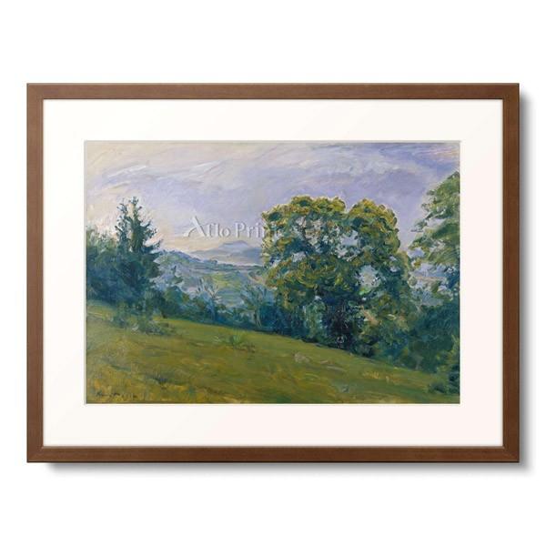 作家名:マックス・スレフォークト (1868年-1932年)国籍:ドイツ ジャンル:印象派 Artist: Slevogt, Max,1868-1932 Imagetitle:Palantine landscape. 1914 Dimens...