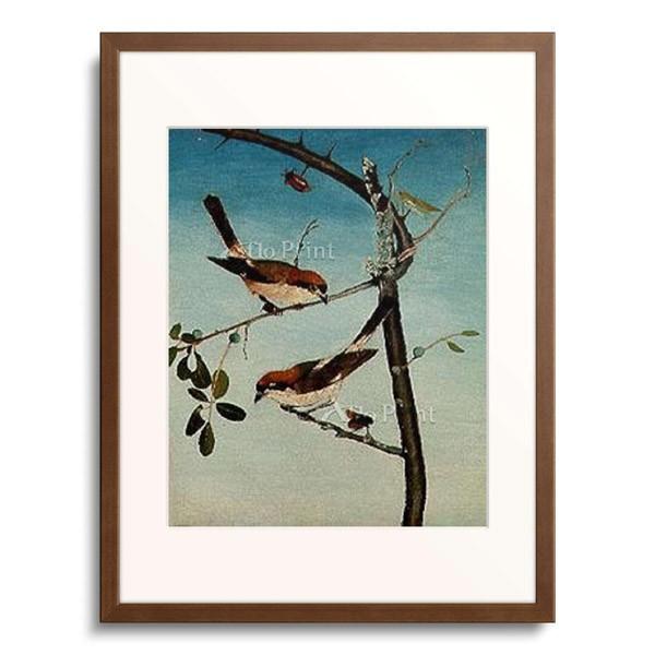 作家名:チョントヴァーリ=コストカ・ティヴァダルハンガリーの画家Artist:Csontvary-Kosztka, Tivadar 1853-1919 Imagetitle:Grauwurger 所蔵:Privatbesitz Ungarn