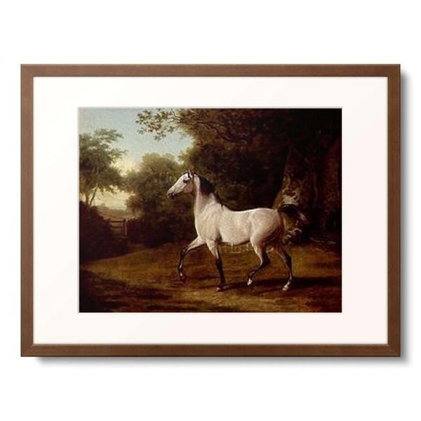 Artist:  Agasse, Jacques Laurent,1767-1849 Imagetitle:  Apfelschimmel (Araber) in Waldlandschaft Dimensions:  88 x 112 c...