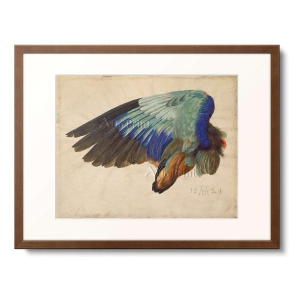 Artist:  Durer, Albrecht (after) Imagetitle:  The Right Wing of a Blue Roller. 1524 Dimensions:  18,9 x 23,8 cm Medium: ...