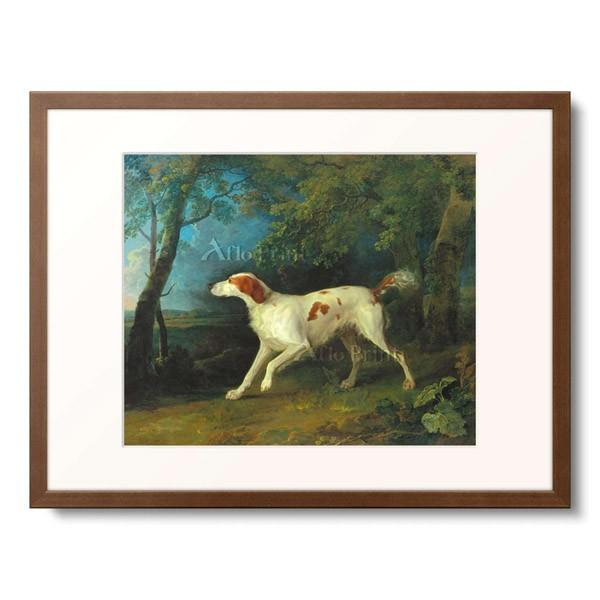 Artist:  Gilpin, Sawrey,1733-1807 Imagetitle:  A Brown and White Setter in a Wooded Landscape. 1773 Dimensions:  155 x 1...