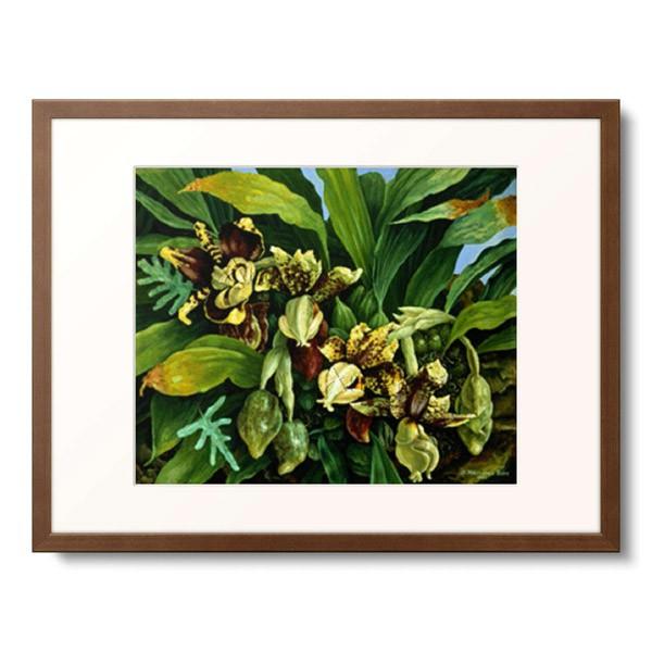 Artist:  Martinez-Baez, Salvador Imagetitle:  Orchideen. 1946. Location:  Christie's Images Ltd