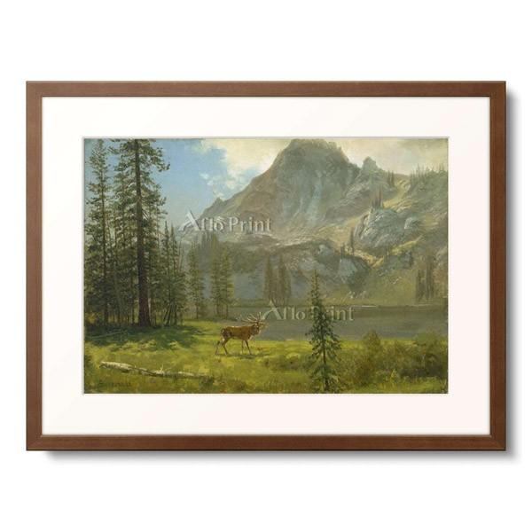 作家名:アルバート・ビアスタットアメリカの画家風景画ハドソン・リバー派Artist:Bierstadt, Albert,1830-1902 Imagetitle:Call of the Wild. Medium:Oil/Paper