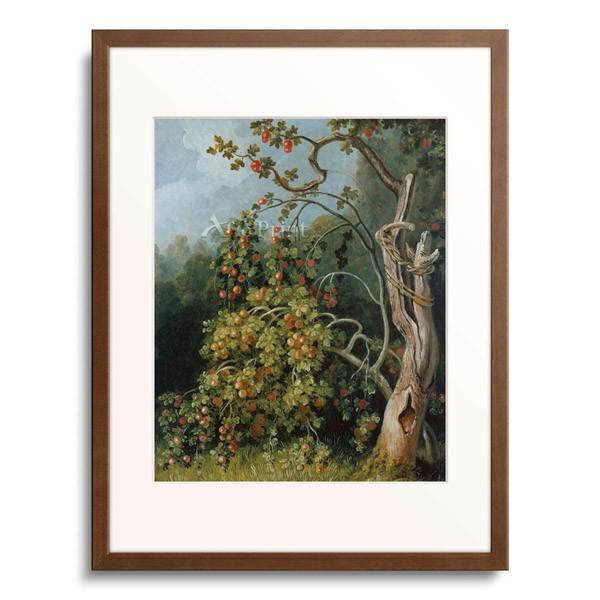 Artist:  Tischbein, Johann Heinrich Wilhelm,1751-1829 Imagetitle:  Apfelbaum. Dimensions:  27 x 33 cm Location:  Landesm...