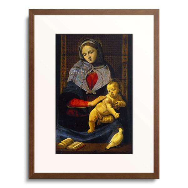 所蔵：ルーヴル美術館Artist:  Piero di Cosimo,um1462-1521(?) Imagetitle:  Die Madonna mit der Taube. Location:  Paris, Musee du Louvre