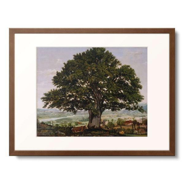 Artist:  Rousseau, Jean-Jacques,1861-1911 Imagetitle:  Blick auf die Ebene von Annecy mit grosser Eiche. Dimensions:  60...