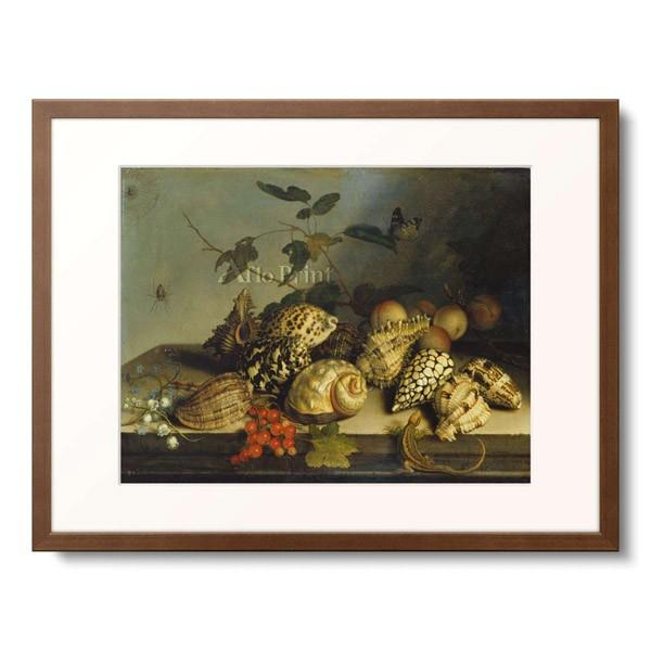 Artist:  Ast, Balthasar van der,1593/94-1657 Imagetitle:  Muscheln und Fruchte. Dimensions:  29 x 37 cm Medium:  wood Lo...
