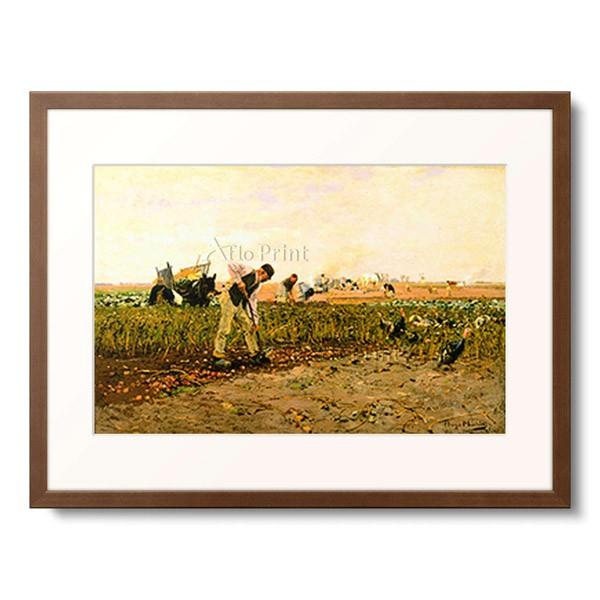 Artist:  Muhlig, Hugo,1854-1929 Imagetitle:  Potato harvest. Dimensions:  54,5 x 81 cm Location:  Private Collection
