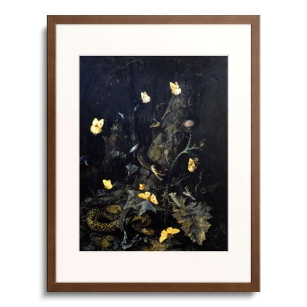 所蔵：ルーヴル美術館Artist:  Marseus van Schrieck, Otto,1619-1678 Imagetitle:  Schlangen und Schmetterlinge. Location:  Paris, Mus...