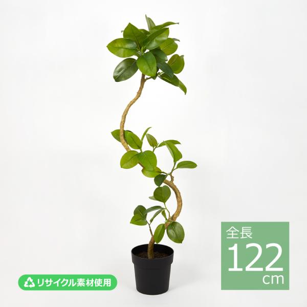 アルテシマは、日本で最も古くから親しまれてきたインドゴムの木を改良した観葉植物です。明るく優しい印象を持つため、お祝いの贈り物として人気があります。スパイラルに仕立てられているため、インテリアとしても目を引き、オシャレな感じでとても人気があ...