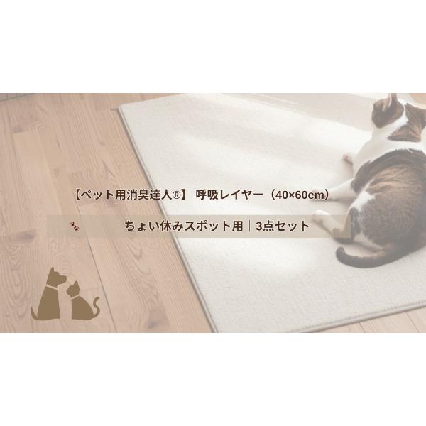 呼吸を整えるペット用消臭製品商品名：《高級な呼吸プロダクツ》【消臭達人 ペット用】呼吸レイヤー（3点セット）【40×60cmちょい休みスポット用（短時間・部分使い）】移動の途中、日向ぼっこ、飼い主の足元など、さっと休む場所に。ご自身のペット...
