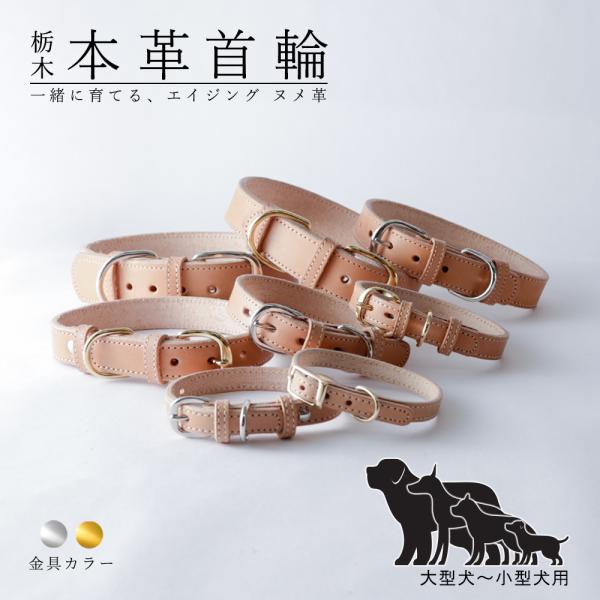 【発売日：2025年02月17日】【商品説明】超小型犬〜超大型犬までサイズ展開豊富で多種多様な犬種にご使用いただけますナチュラルなヌメカラーは様々な毛色を美しく映えさせてくれます【素材】栃木レザー鉄【製造】日本製【注意】※モデル犬の表記はあ...