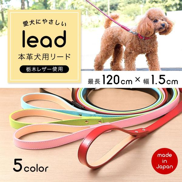 【発売日：2022年02月09日】【商品説明】■良質な本革を使用国内産の良質な本革100％で製作しています。持ち手には、優しい肌触りで使い込むほどに馴染む『栃木レザー』を採用。■安心設計しっかりした耐久性のあるナスカンで首輪から外れにくい仕...
