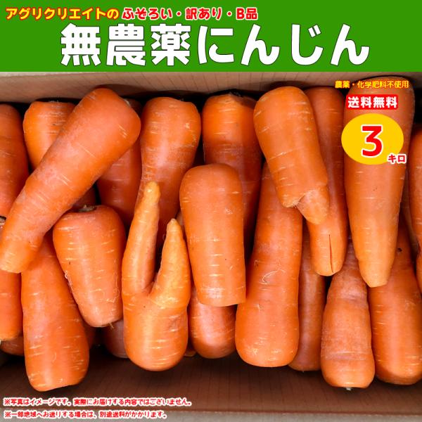 人参　無農薬アグリクリエイトのにんじんは、生産者が何年もかけて土づくりを行い、丹精込めて育てた、農薬不使用の人参です。農薬や化学肥料を使わない栽培は、病気が発生しても、農薬で対処できない・・・天候等の理由で生育が悪くても、即効性の高い化学肥...