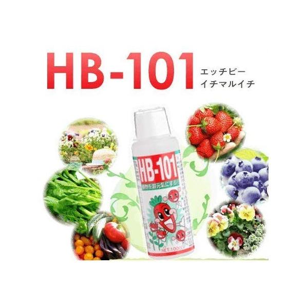HB-101 100cc フローラ 天然植物活力液 メーカー直送・代引不可 :HB-101-100:農業ショップアグリジャパンホシノ - 通販 - Yahoo!ショッピング