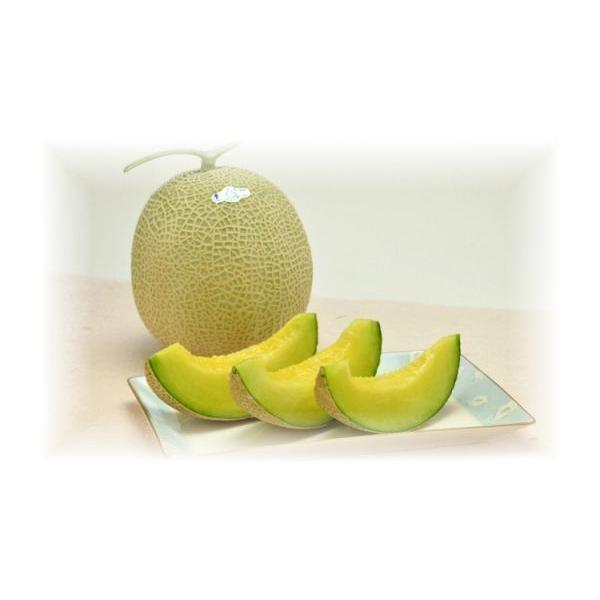 ≪千葉県産　最高級ブランドアクアメロン、新鮮、産地直送!!≫■商品名：アクアメロン（マスクメロン）BL■産地：千葉県■内容量：1.4kg程度（1玉）■配送方法：ご注文頂き14日以内に常温便にて発送手配いたします※農作物の為、天候等により遅れ...