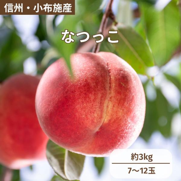 信州小布施産！濃厚で大玉な白桃「なつっこ」爆買。長野県が誇る大人気ブランド白桃「なつっこ」の先行予約をスタートします！信州小布施の豊かな自然と夏の太陽をたっぷり浴びて育った、格別な味わいです。【なつっこの魅力】★濃厚な甘さ：酸味が少なく、口...