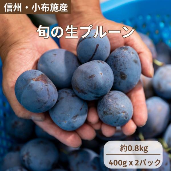 お試しサイズで楽しむ信州産生プルーン約0.8kgドライフルーツとは別次元の、もぎたてだけの瑞々しさ。信州の夏の恵み「旬の生プルーン」から、気軽に楽しめる【お試しサイズ】約0.8kg（400g×2パック）の予約をスタートします。【生プルーンの...
