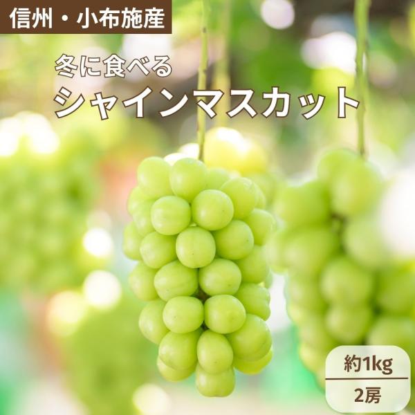 冬の食卓に、とびきりの贅沢を。寒くなる季節に楽しむ特別な「冬のシャインマスカット」約1kg（2房入り）の先行予約がスタートしました！クリスマスや年末年始など、人が集まる機会の多い冬の団欒。そんなテーブルにシャインマスカットがあるだけで、パッ...