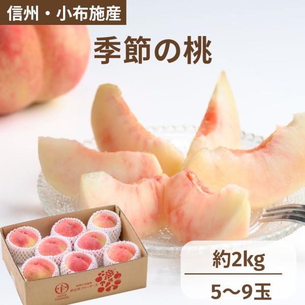 信州小布施産！旬の美味しさを厳選してお届けする季節の桃約2kg爆買豊かな自然の中で育まれた数ある品種の中から、その時々で最も美味しく実った極上の桃を農家さんが見極めお届けします。品種ごとに異なる甘みや食感を楽しめる、季節の移ろいを感じる特別...