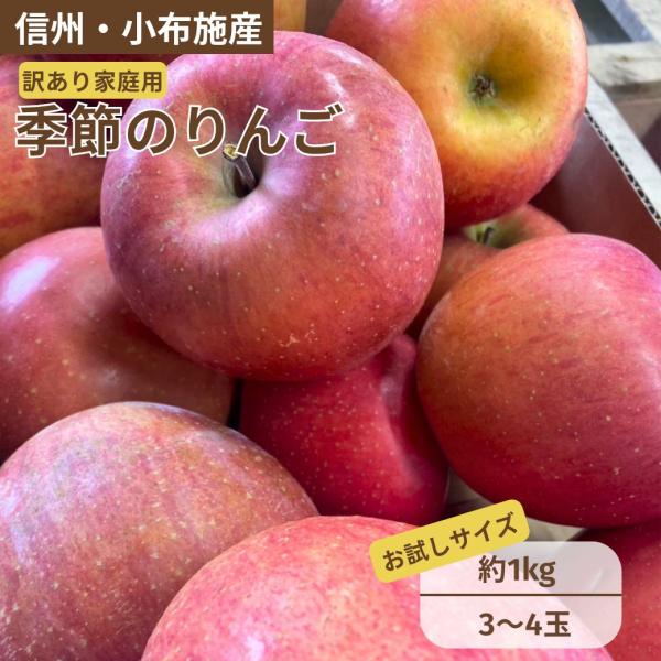 信州小布施の豊かな自然が育んだ旬のりんごを、手軽にお試しできる「1,000円ポッキリ・送料無料」のご家庭用約1kgです。【時期に合わせて一番美味しい旬の品種をお届け】ご注文時期にベストなタイミングの品種を農家直送でお届けします（品種はおまか...