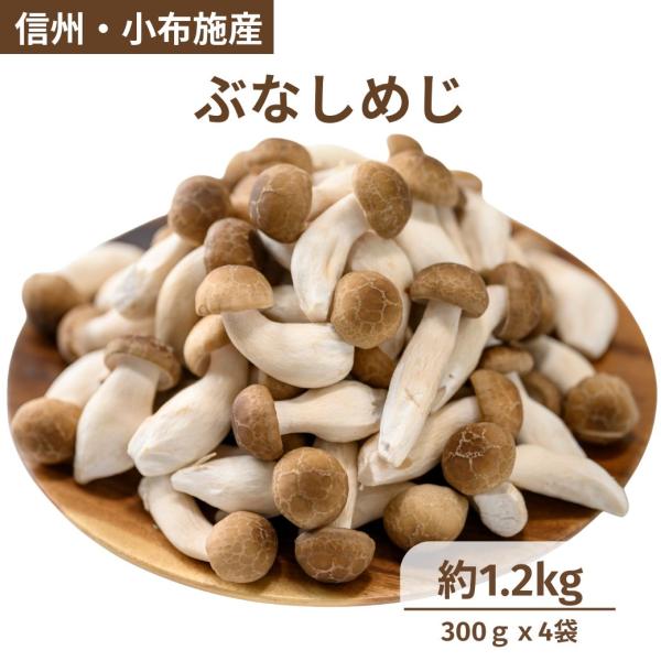 特に太さと鮮度に優れたものだけを厳選した逸品です。しっかりとした太さがあるため、加熱しても身崩れせず、料理の中で圧倒的な存在感を放ちます。シャキシャキとした心地よい歯ごたえと共に、噛むほどに溢れ出す濃厚な旨みは、最高品質のぶなしめじならでは...