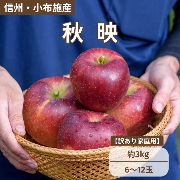 長野県オリジナル品種「秋映」の先行予約をスタートします！秋の訪れを感じさせる深い赤色が特徴で、信州小布施の豊かな大地で太陽の光をたっぷり浴びて育ちました。【訳あり商品について】小傷、色ムラ、変形などがある訳あり品ですが、育て方は贈答用と同じ...