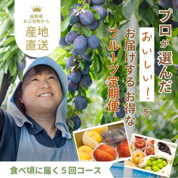 フルーツ選びでもう迷わない！プロが選ぶ“最高に美味しい”を5回お届けする、贅沢で超おトクな「おぶせ旬の定期便」♪「見た目は良さそうだけど、食べてみたら『あれ？』」「どれを選べばいいかわからない」そんな声にお応えするのが、この定期便です。果物...