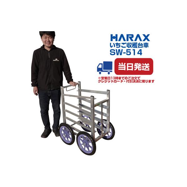 収穫台車 いちご イチゴ収穫ワゴン  いちご台車 5段タイプ  高設栽培 ノーパンクタイヤ  いちご農家 観光農園 効率アップ パセリ ハーブ 大葉 しそ等にも使える 下4段が傾斜してるので、収穫したイチゴが安定する！
